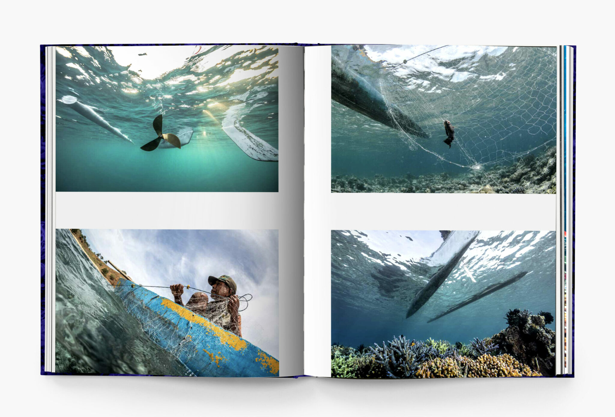 Coral - Martin Colognoli - Hemeria Crowdfunding