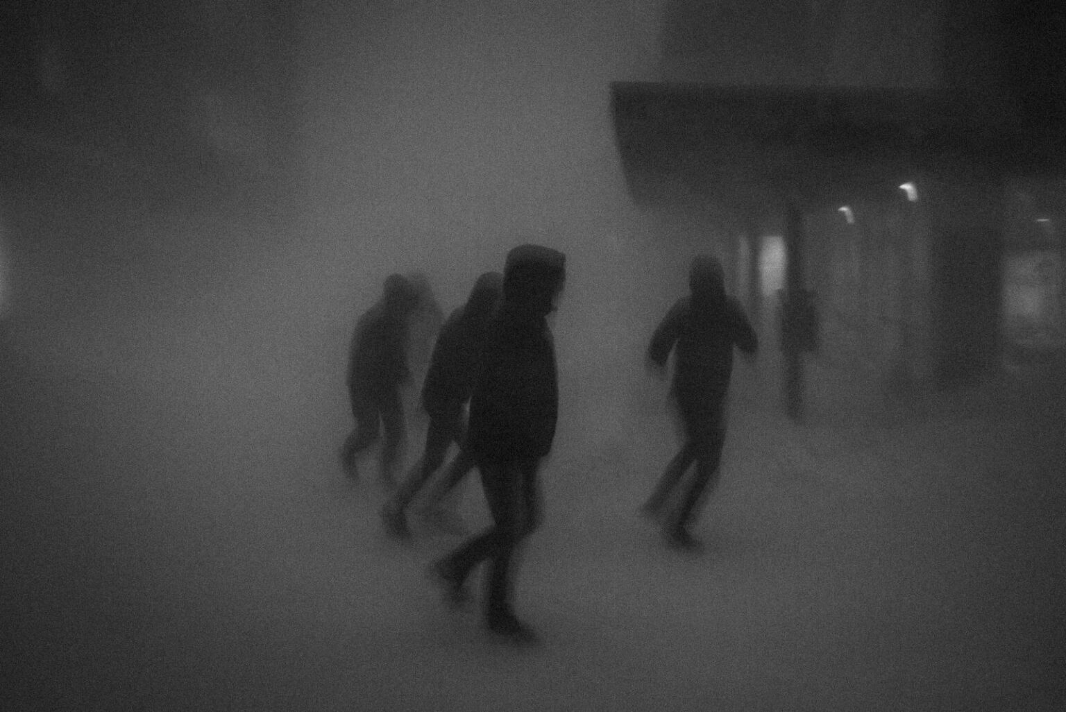 Neige Noire - Hemeria Crowdfunding