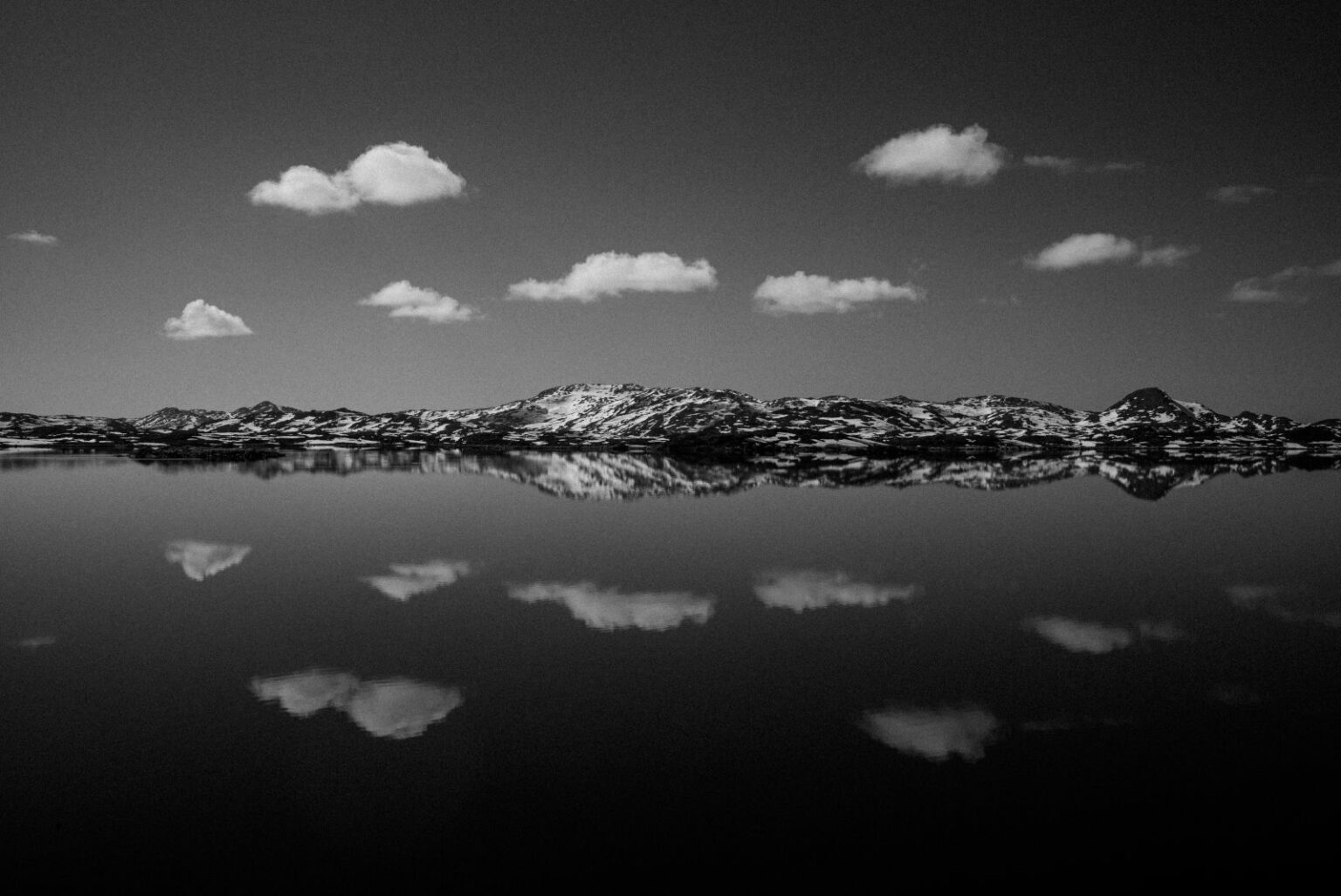 Neige Noire - Hemeria Crowdfunding